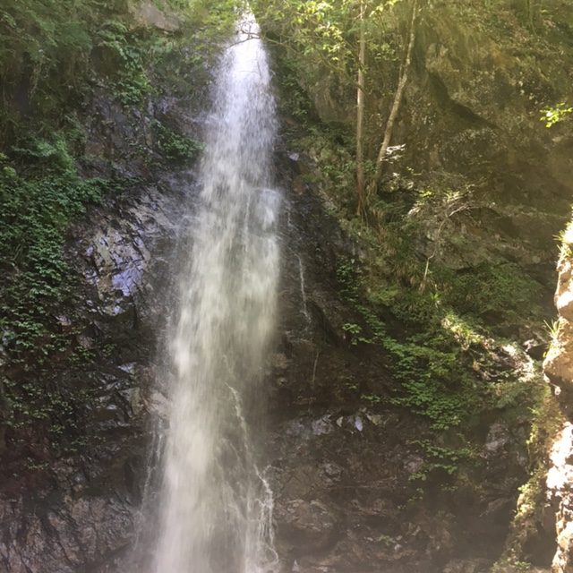 caracoco | からだにやさしい。こころにうれしい。